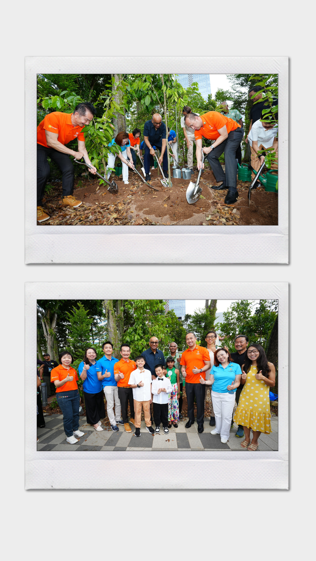 CDL MicroForest - CDL Sustainability